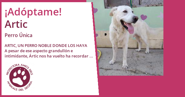 Amics dels Animals del Segrià - Animales