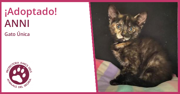 Amics dels Animals del Segrià - Animales