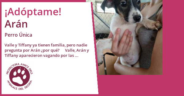 Amics dels Animals del Segrià - Animales